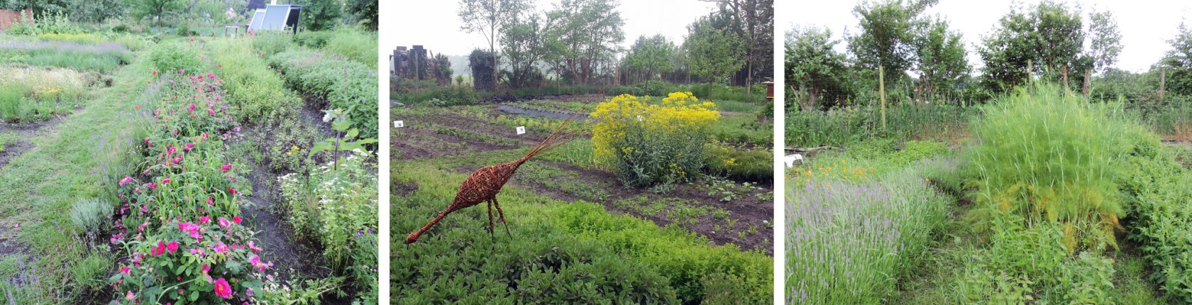 Tuin van de maand juli: Historische moestuin Eyckenstein (Maartensdijk ...