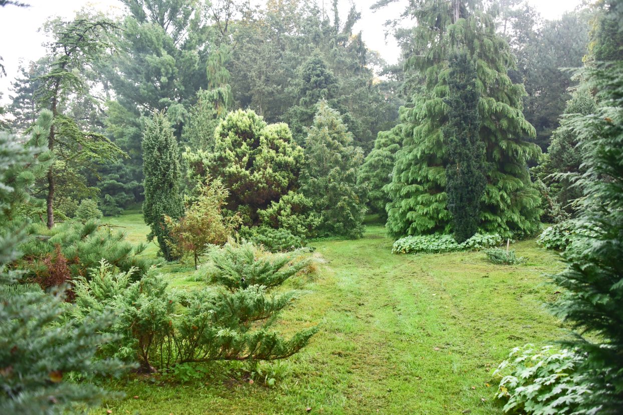 Landgoed Pinetum de Belten, Vorden : Nederlandse Tuinenstichting (NTs)