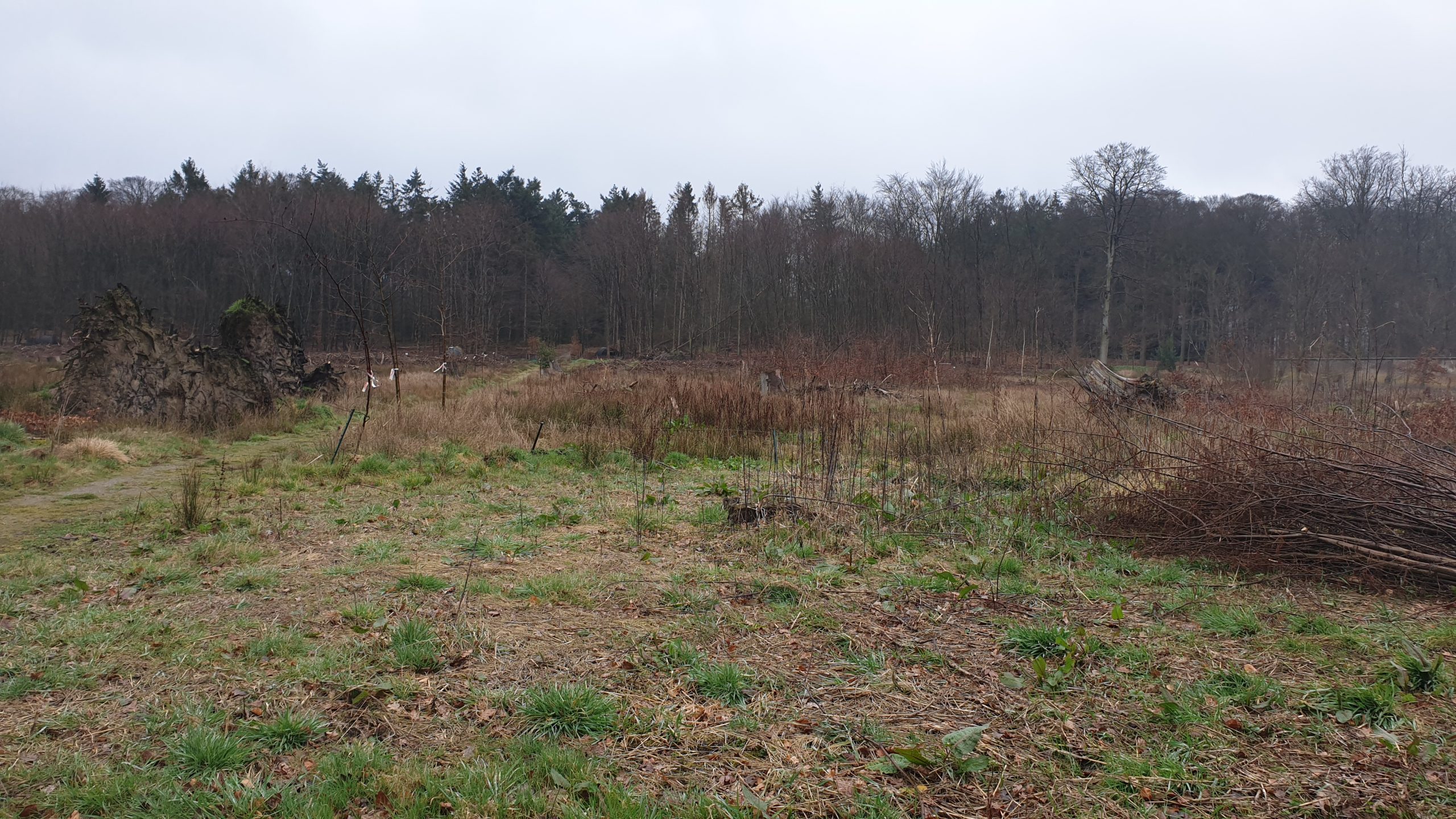 valwind zuylestein : Nederlandse Tuinenstichting (NTs)